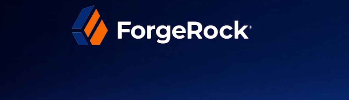 ForgeRock IPO Details: 10 Things for IAM Security Partners, Investors ...