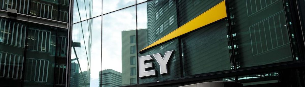EY (Ernst & Young) Acquires SAP Solutions Provider eBorn Consulting ...