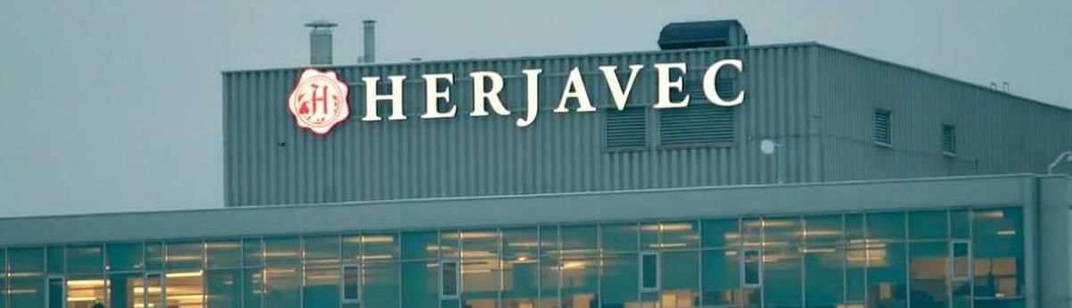 Herjavec Group Leverages Google Chronicle for Managed Security Services ...