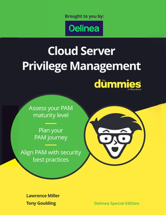 Delinea releases ‘For Dummies’ book on cloud server privilege ...