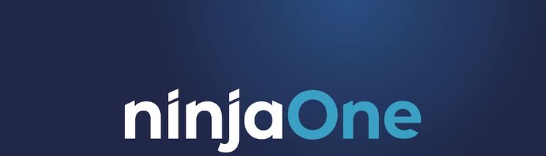 NinjaOne Appoints First Global Channel Chief - | ChannelE2E