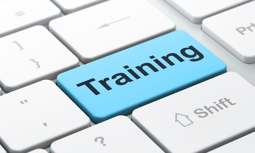 Herd Security raises $3 million for AI-powered security training ...