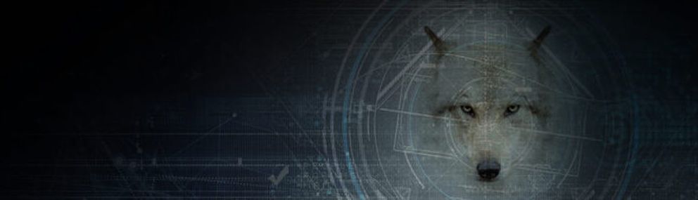 SOCaaS: Arctic Wolf Networks Intros Account Takeover Risk Detection ...