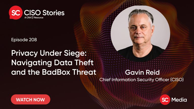 Privacy Under Siege: Navigating Data Theft and the BadBox Threat ...